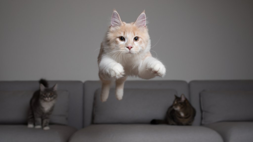 Ribut Suria (Solar Storm): Apa yang kita perlu tahu tentang fenomena ...