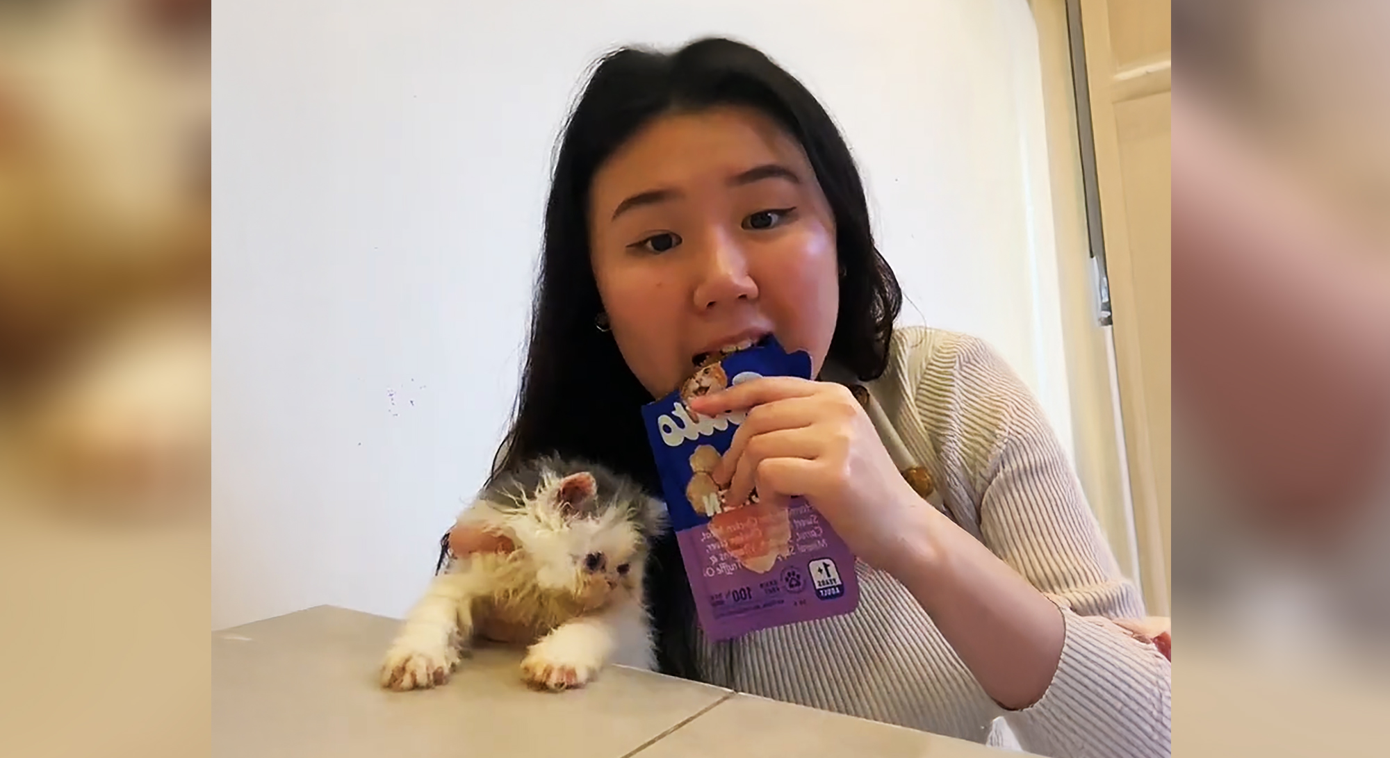 Influencer Indonesia makan makanan kucing, campur mi segera hingga jadi ...