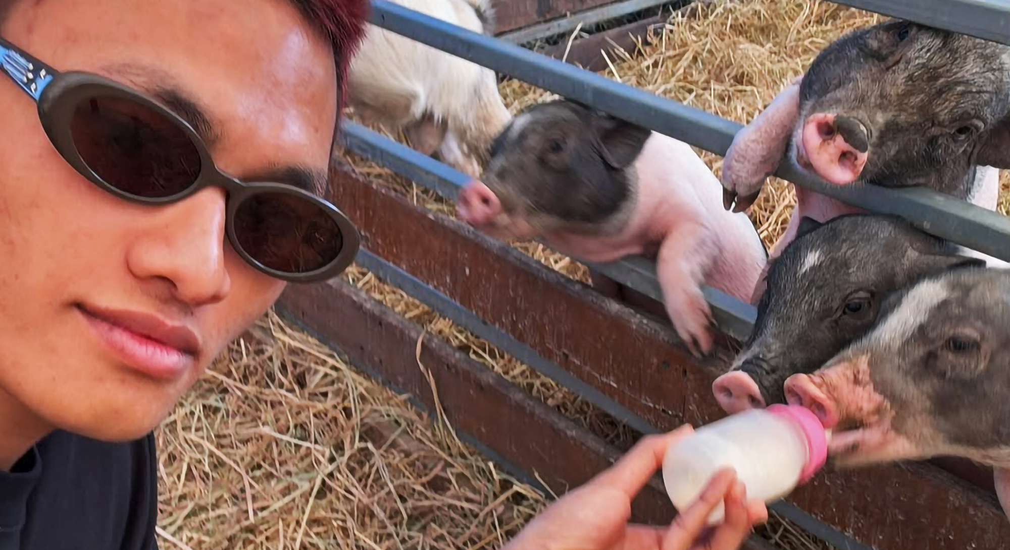 Imran Bard dikecam gara-gara foto susukan anak babi di Thailand | The ...