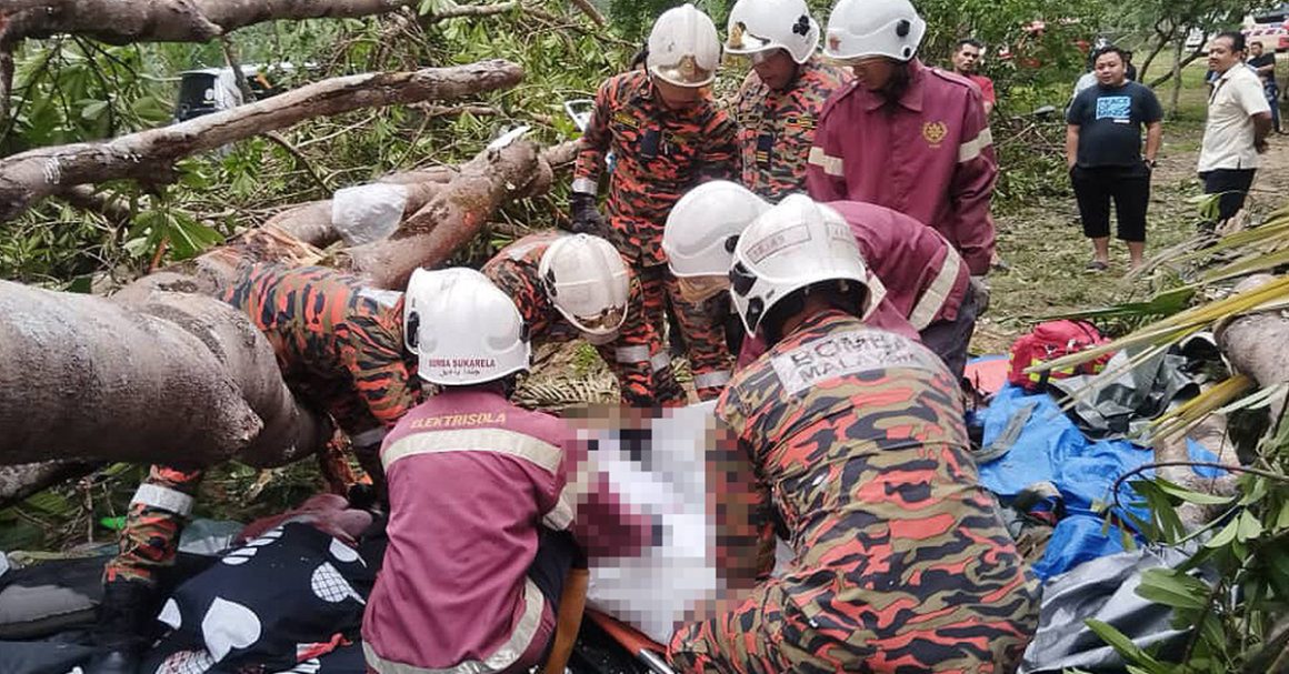 Wanita maut, suami dan anak cedera dihempap pokok tumbang di Janda Baik | The Reporter